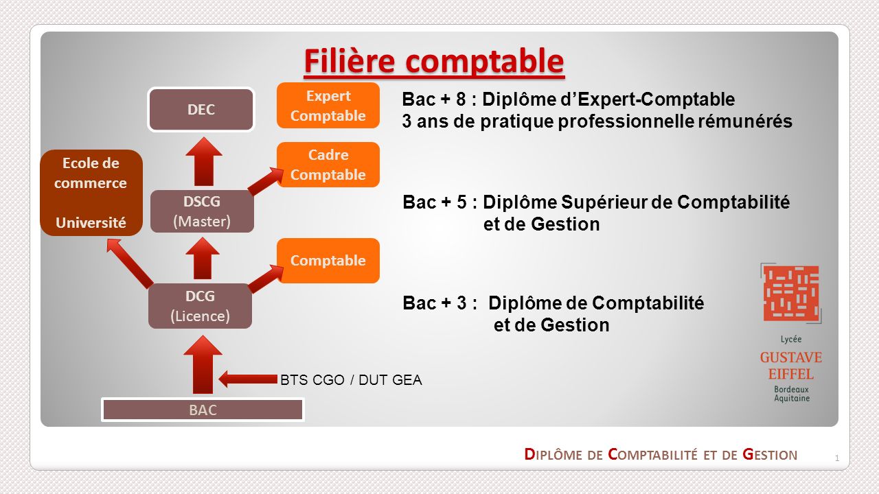 Quelle filière choisir pour devenir comptable ? - Spotcréa Quelle filière choisir pour devenir comptable ? - Spotcréa